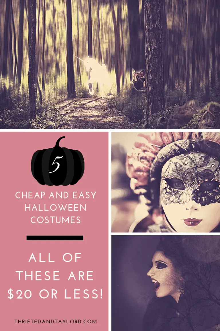 5 Cheap and Easy Halloween Costumes | All Under $20 | Katie Taylor Home ...