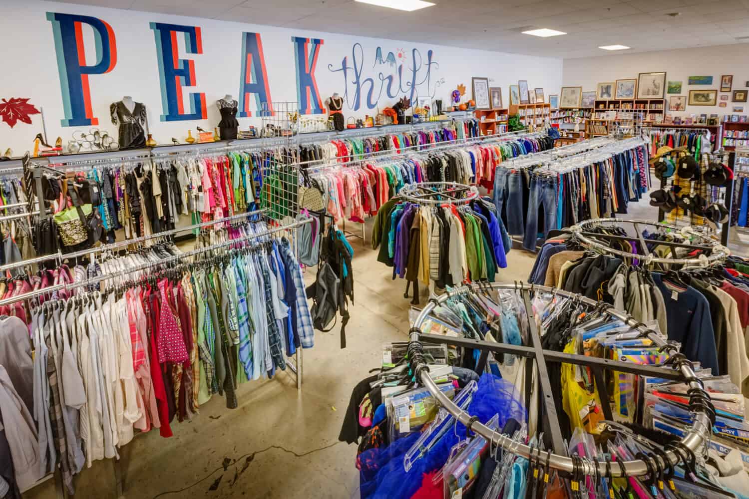 17 Thrifting Tips and Tricks to Shop Like A Pro | Thrifted & Taylor'd